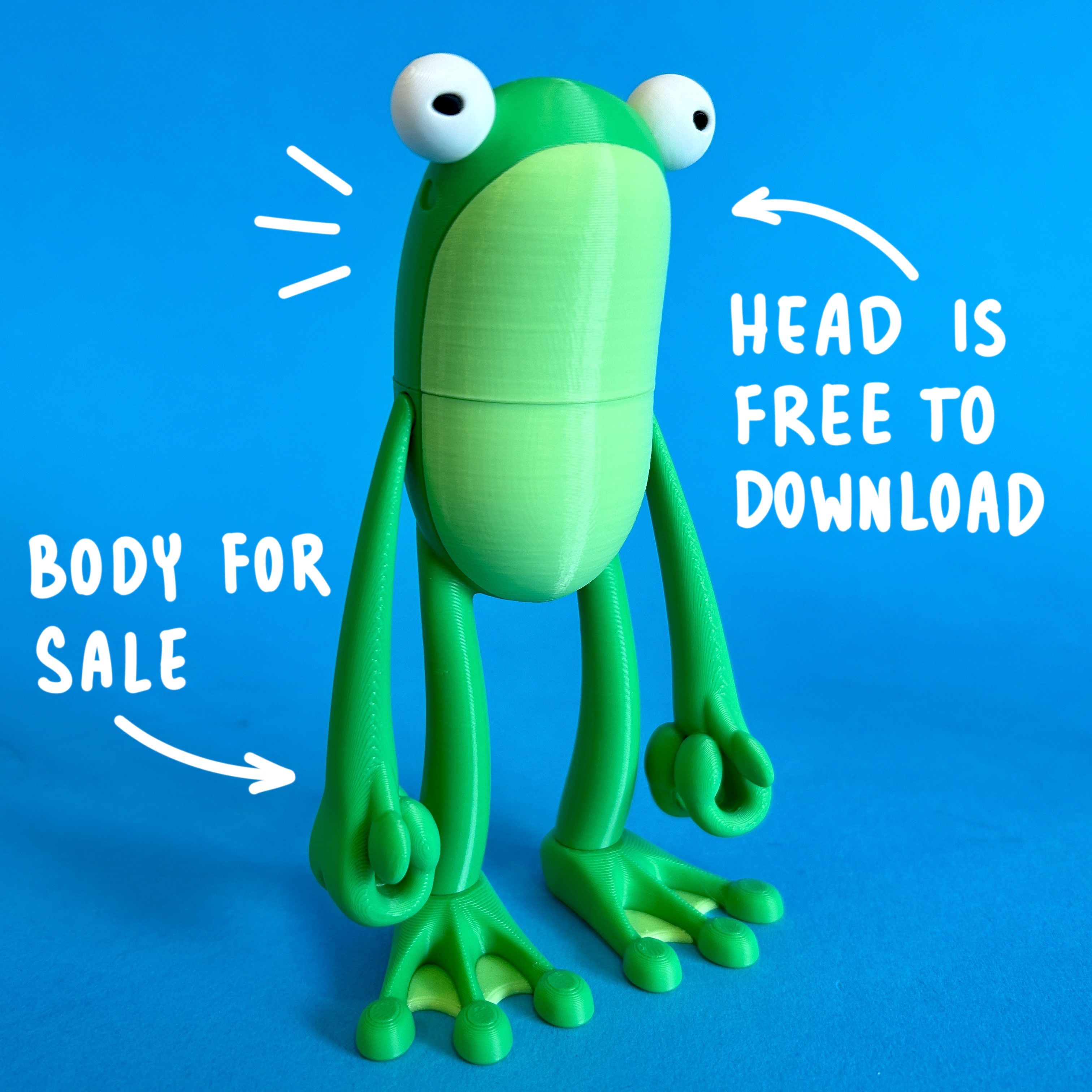 Fly Frog Original Figure Head by flyfrog | Download free STL model ...