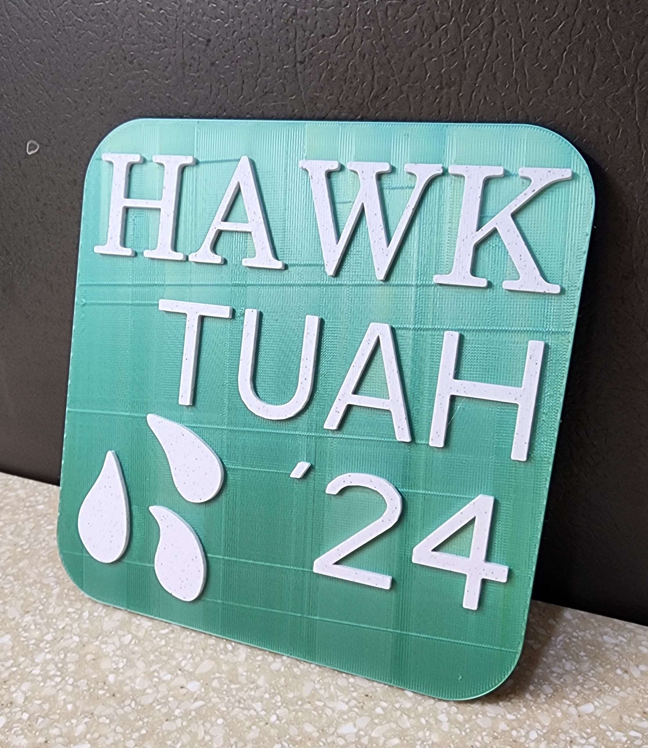 Hawk Tuah '24 by jferris11115 | Download free STL model | Printables.com