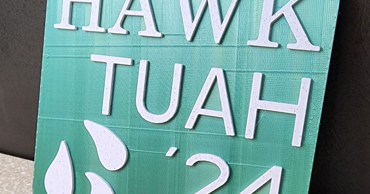 Hawk Tuah '24 by jferris11115 | Download free STL model | Printables.com