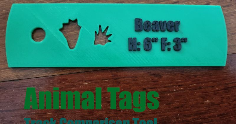 Animal Tags by CosmicBee | Download free STL model | Printables.com