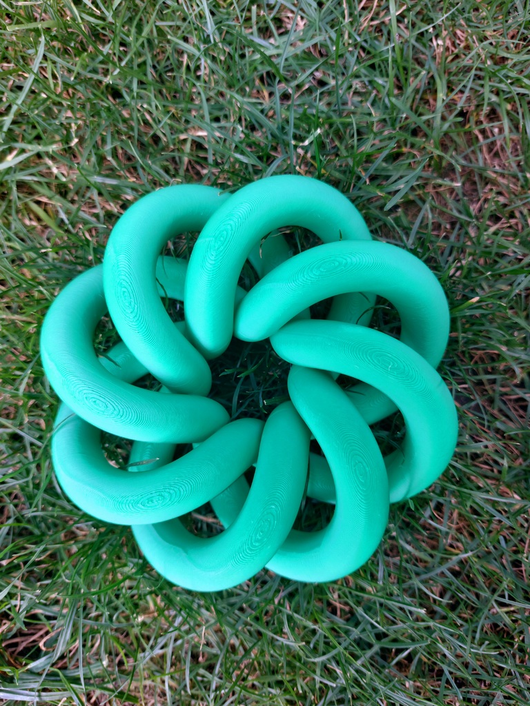 Torus knot decoration by kutnohormac | Download free STL model | Printables.com