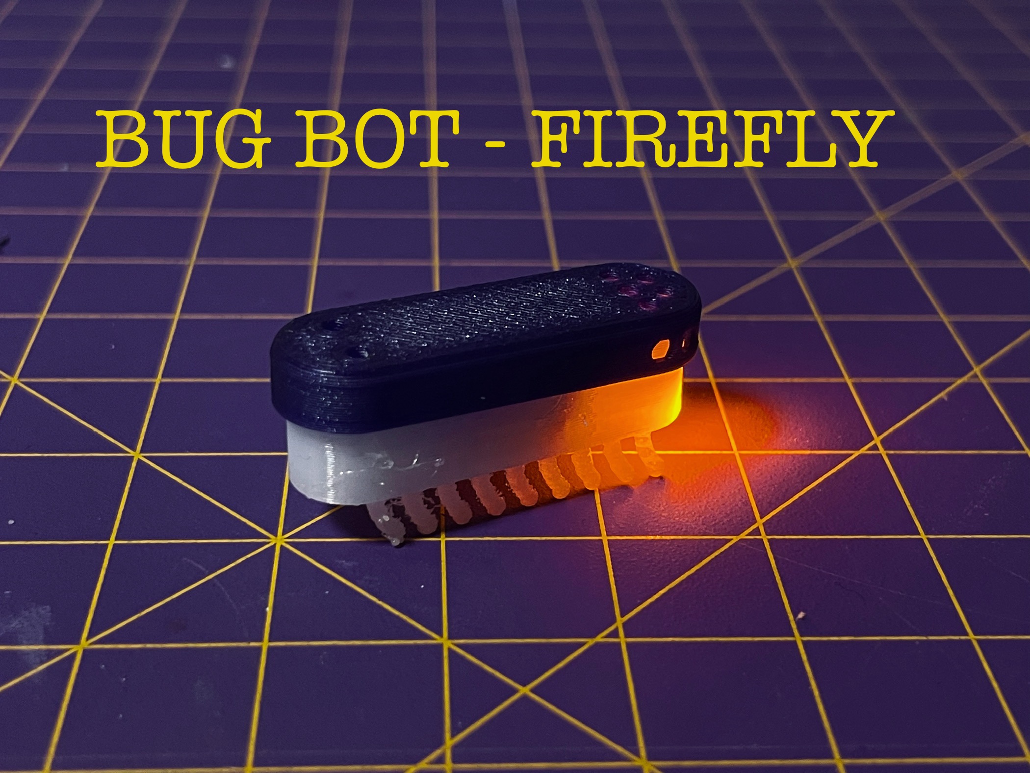 Bug Bot - Firefly - simple vibration robot for kids por DIY Wizard ...