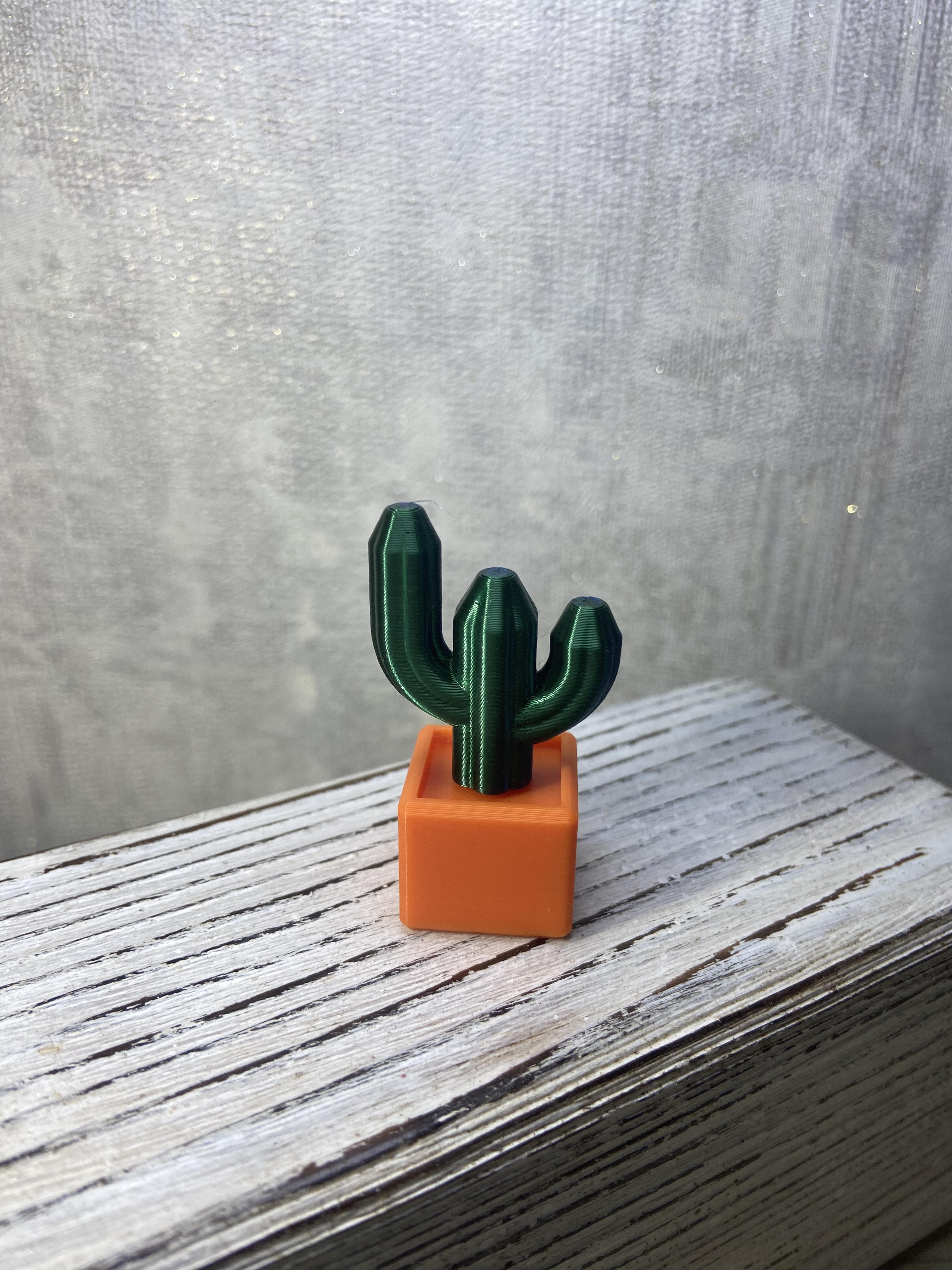 Cactus Magnet Miniature by Oleksandr | Download free STL model ...