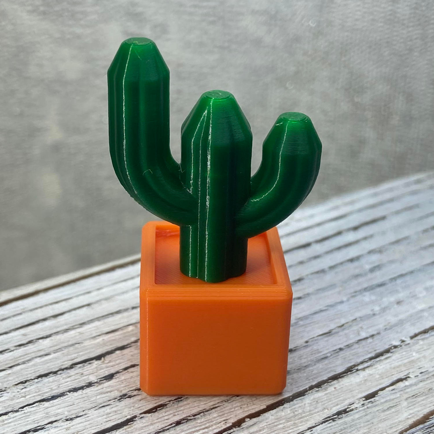 Cactus Magnet Miniature by Oleksandr | Download free STL model ...