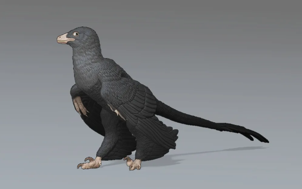 Microraptor Figurine by DragonArtist15 | Download free STL model ...