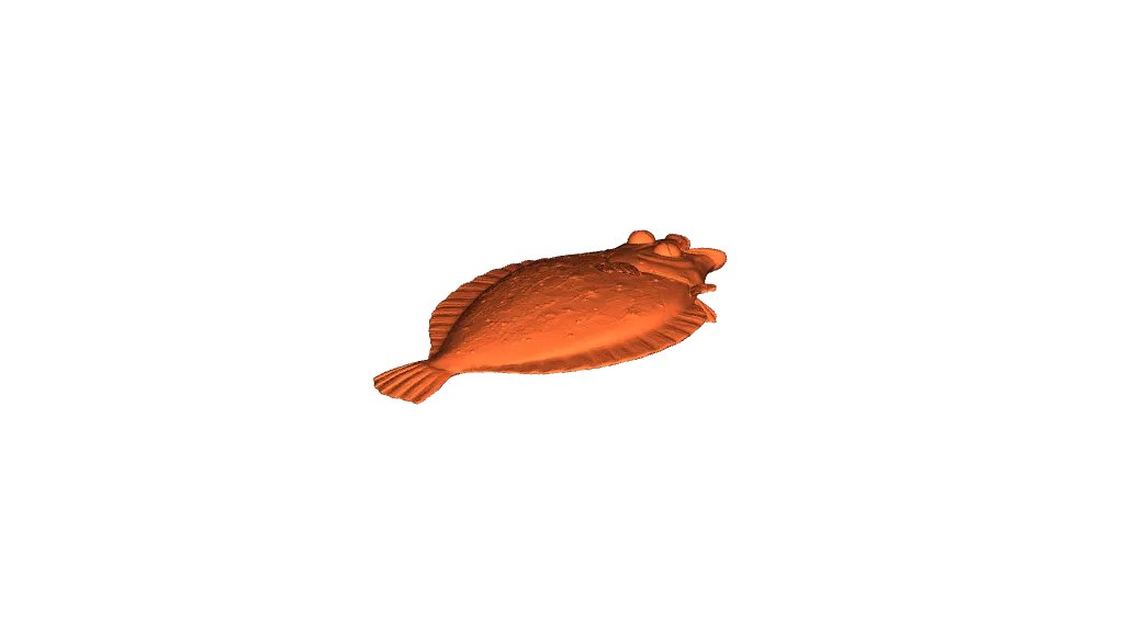 Halibut by Peter Farell | Download free STL model | Printables.com