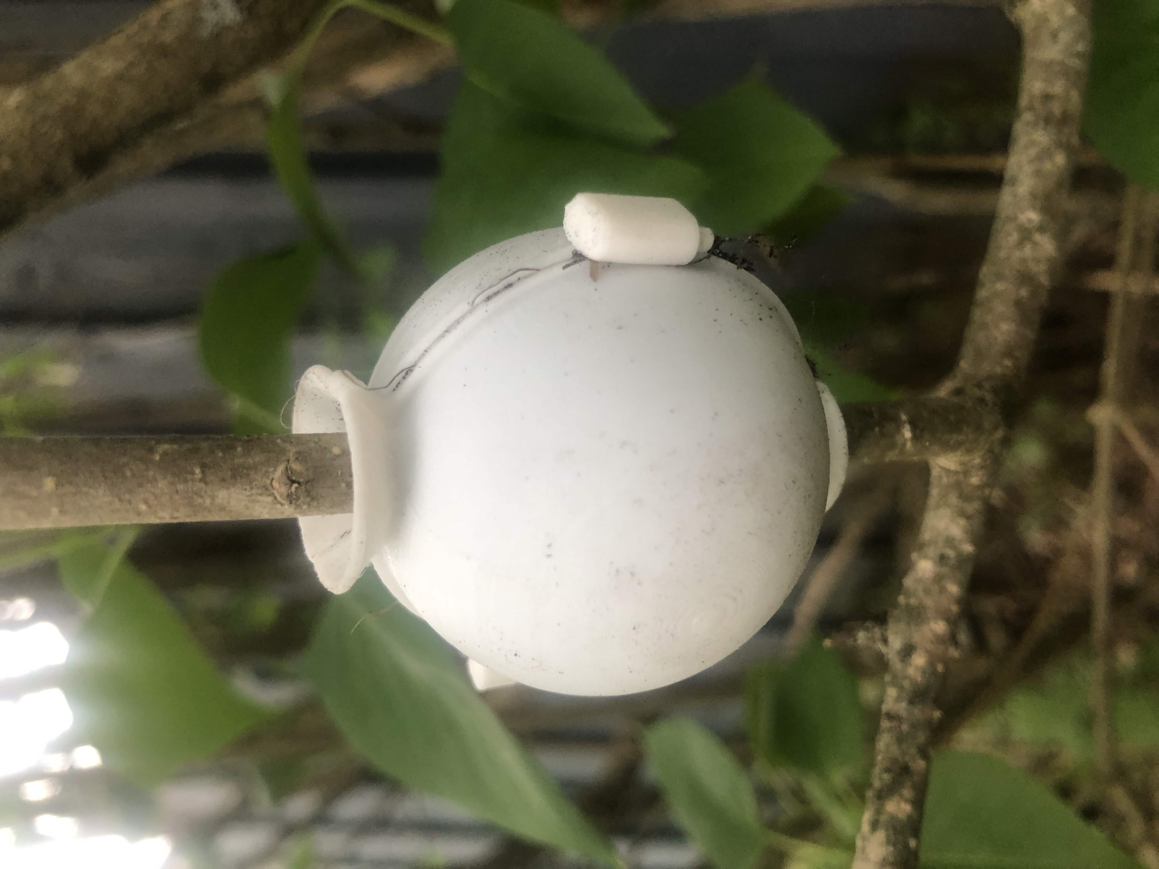 Root Ball for Propagation Plants by iamalmostcrazy | Download free STL ...