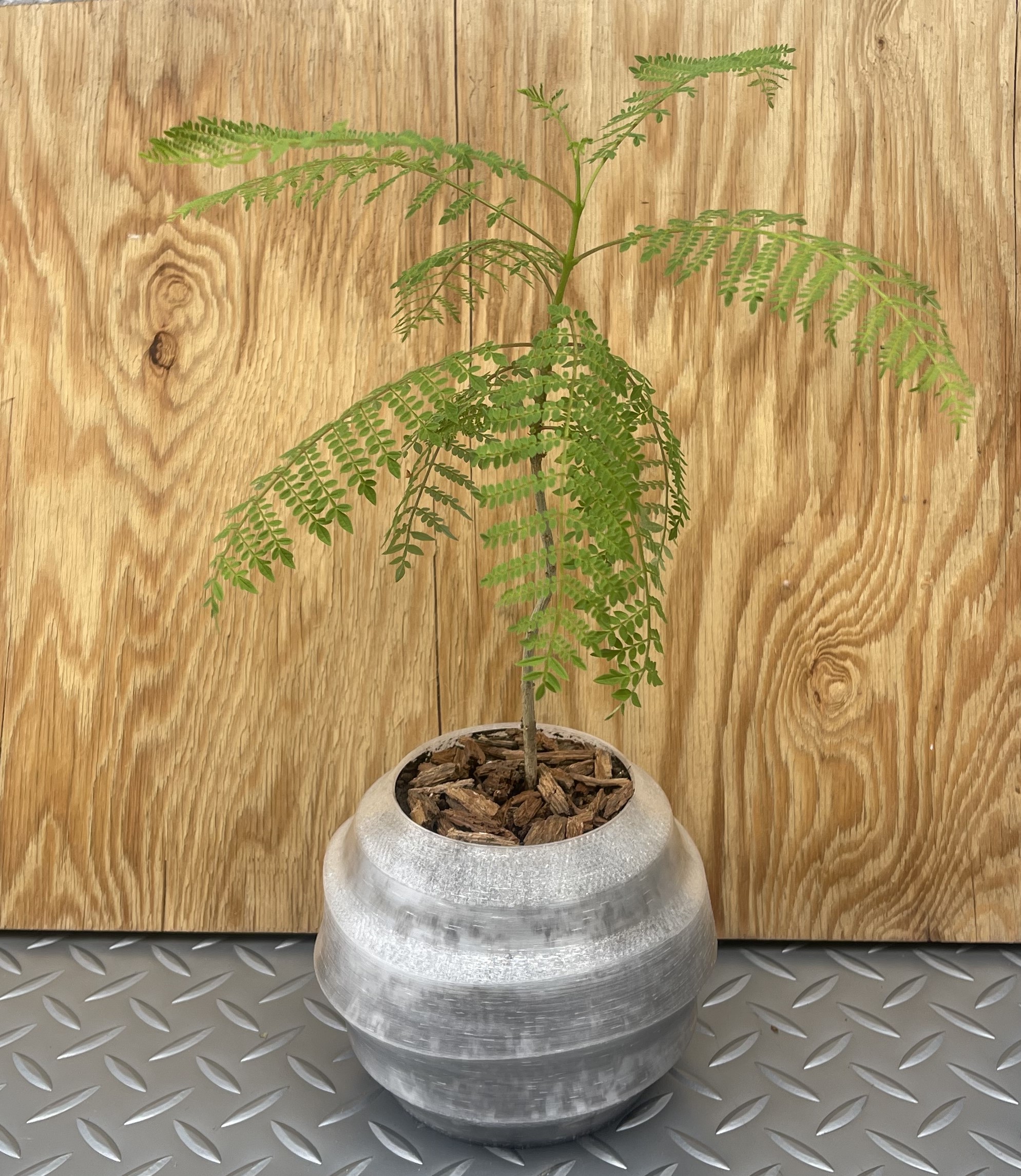 plant pot wave pattern by m-takashi | Download free STL model ...