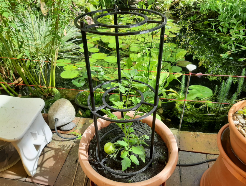 Plant Support by Old Lady | Download free STL model | Printables.com
