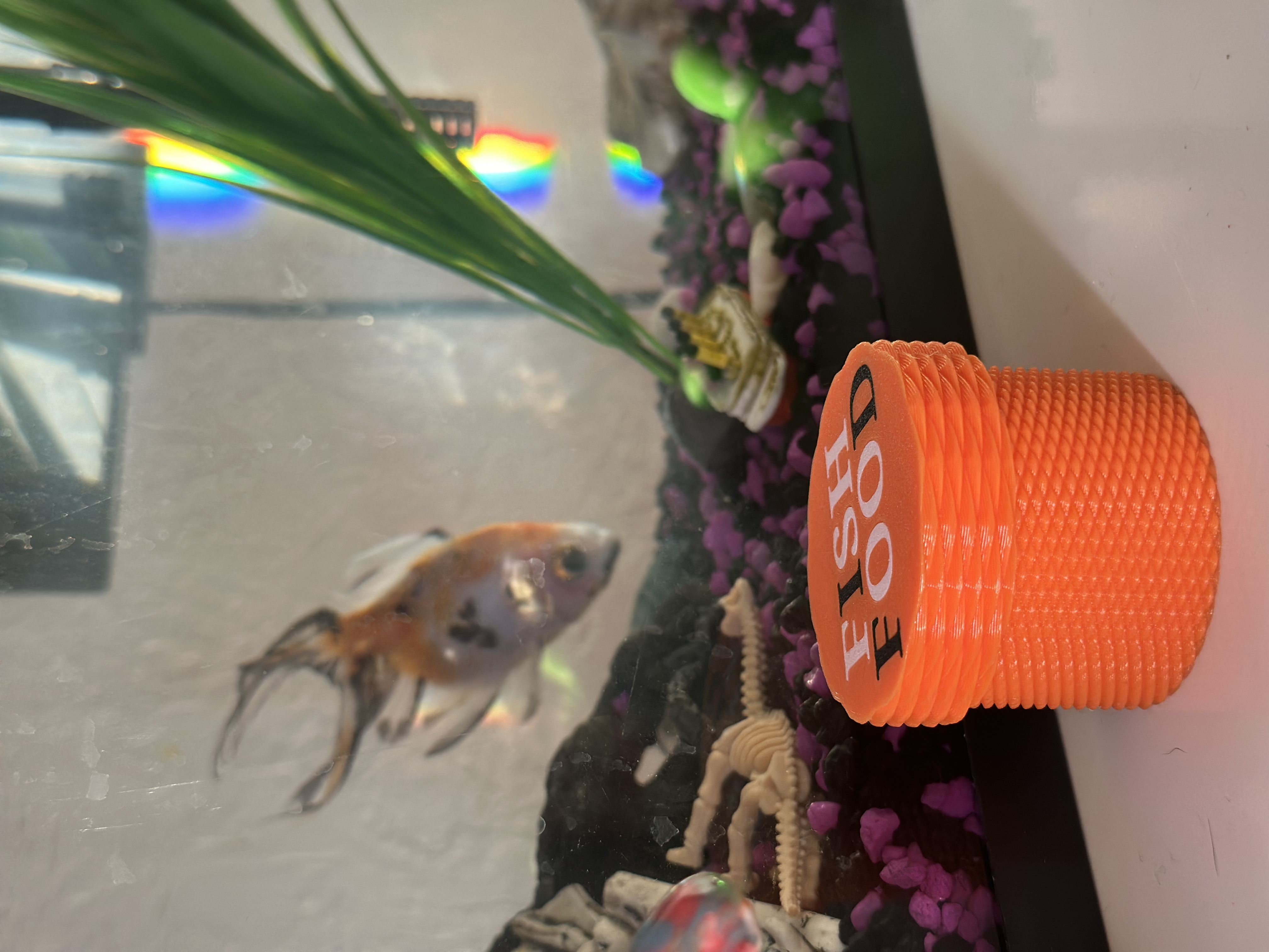 Fish Food Container by Fresh Prints of Bel-Air | Download free STL ...