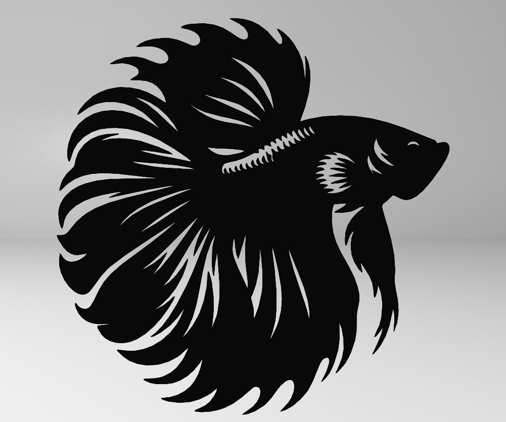 BETA FISH, LINE ART BETA FISH, WALL ART BETA FISH, 2D ART BETA FISH ...