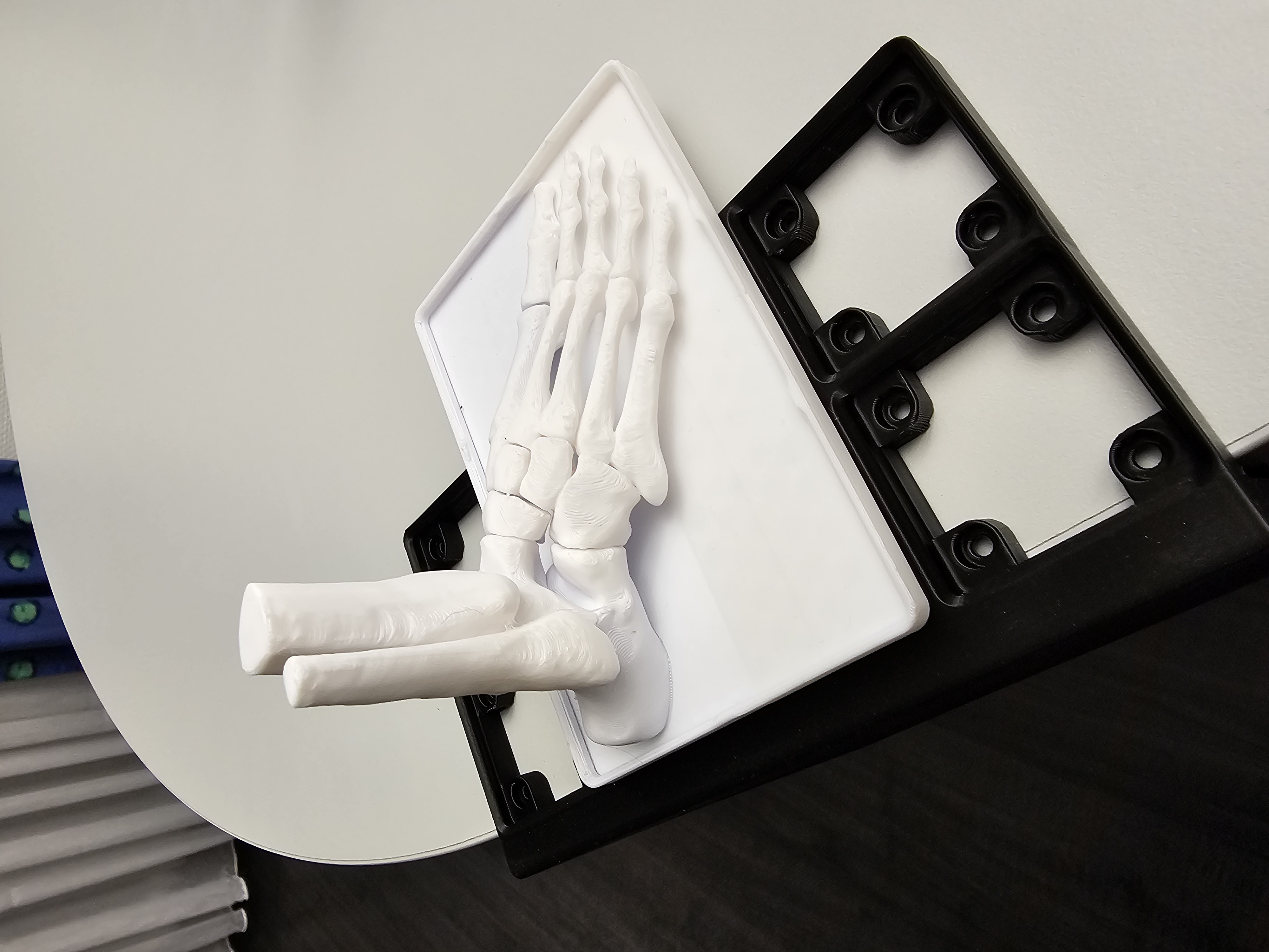 Gridfinity human foot by Azrael | Download free STL model | Printables.com