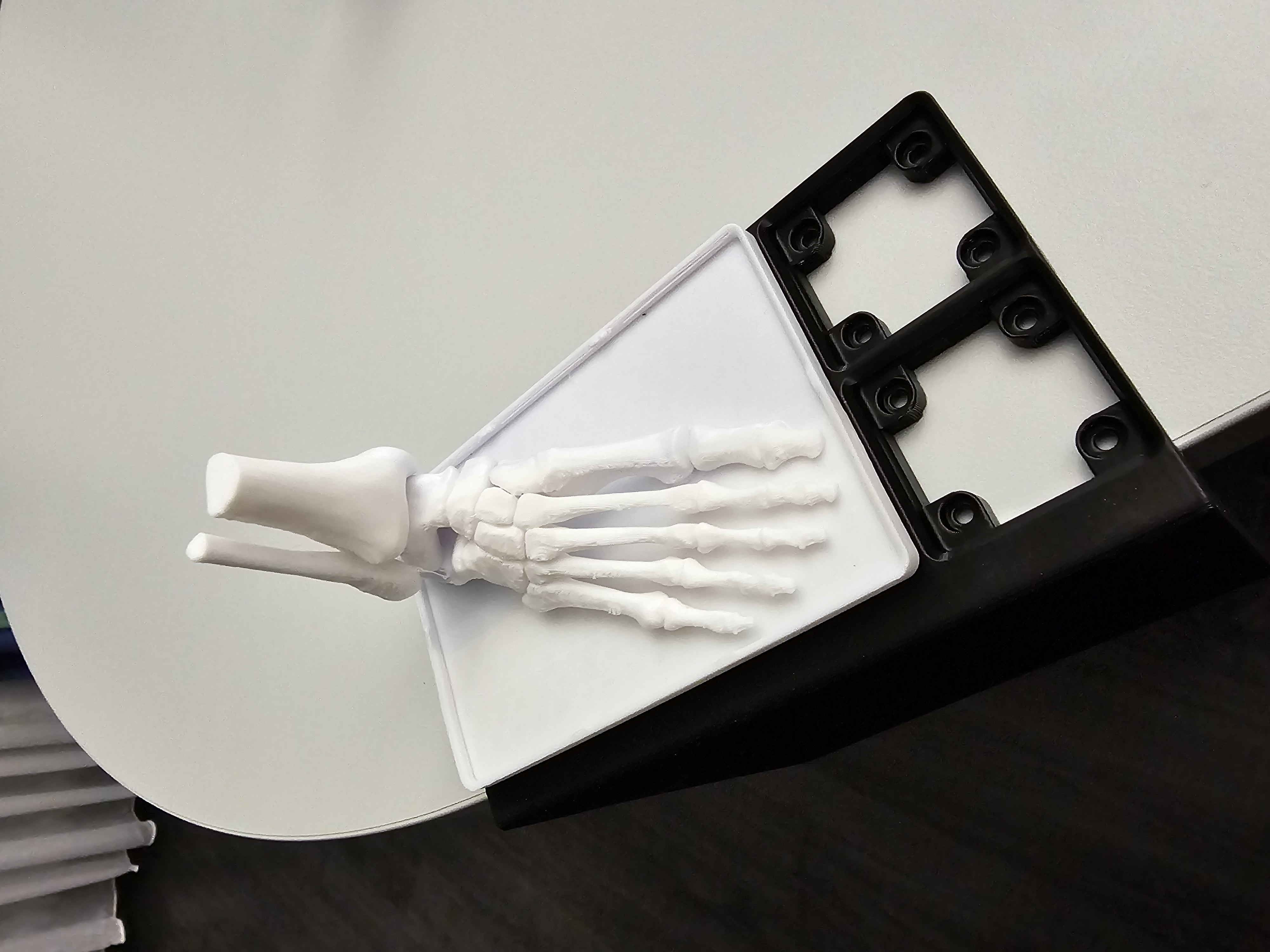 Gridfinity human foot by Azrael | Download free STL model | Printables.com