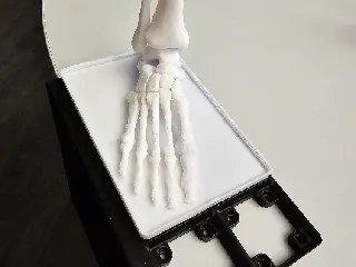 Gridfinity human foot by Azrael | Download free STL model | Printables.com