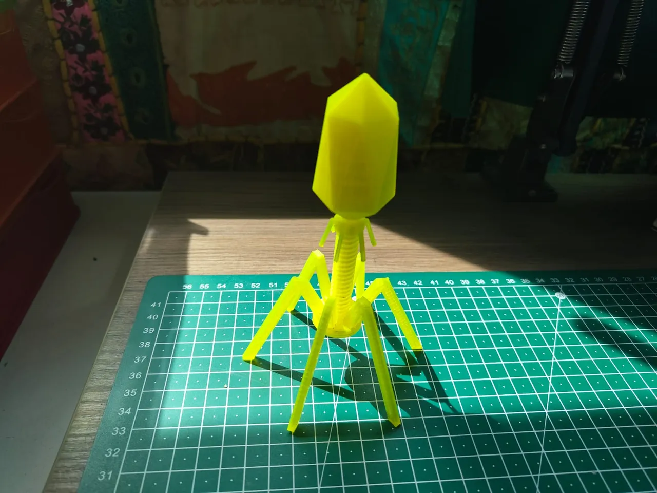 Bacteriophage Model