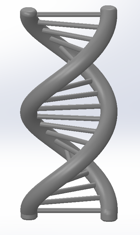 DNA Spiral by Print Man | Download free STL model | Printables.com