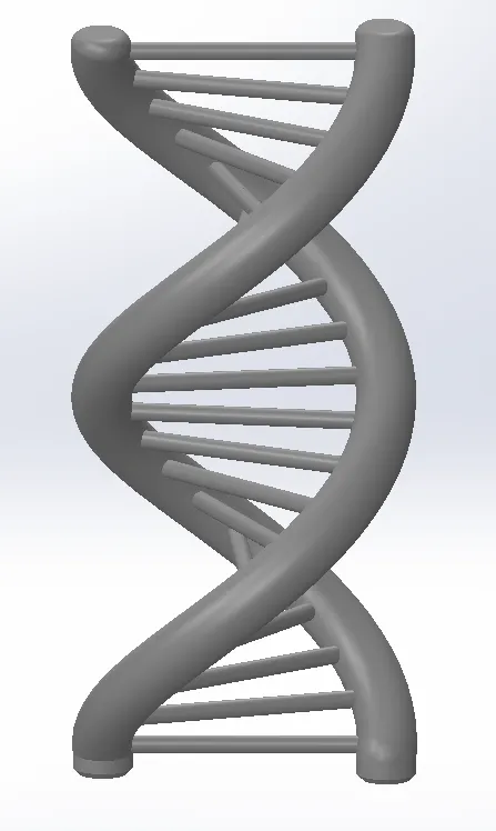 DNA Spiral by Print Man | Download free STL model | Printables.com