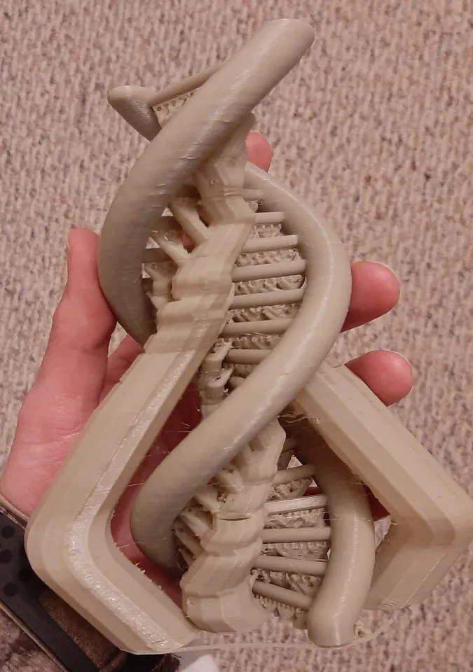 DNA Spiral by Print Man | Download free STL model | Printables.com