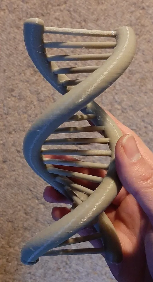 DNA Spiral by Print Man | Download free STL model | Printables.com