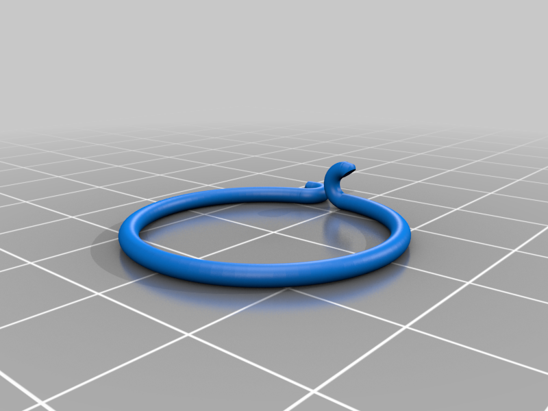 Customizable locking Storage rings by AlwaysTinkering | Download free ...