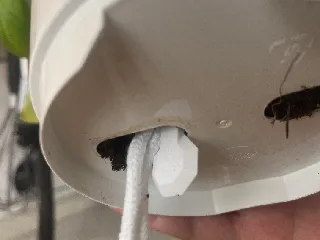 Planter Watering Stick by Dennis Muensterer | Download free STL model ...