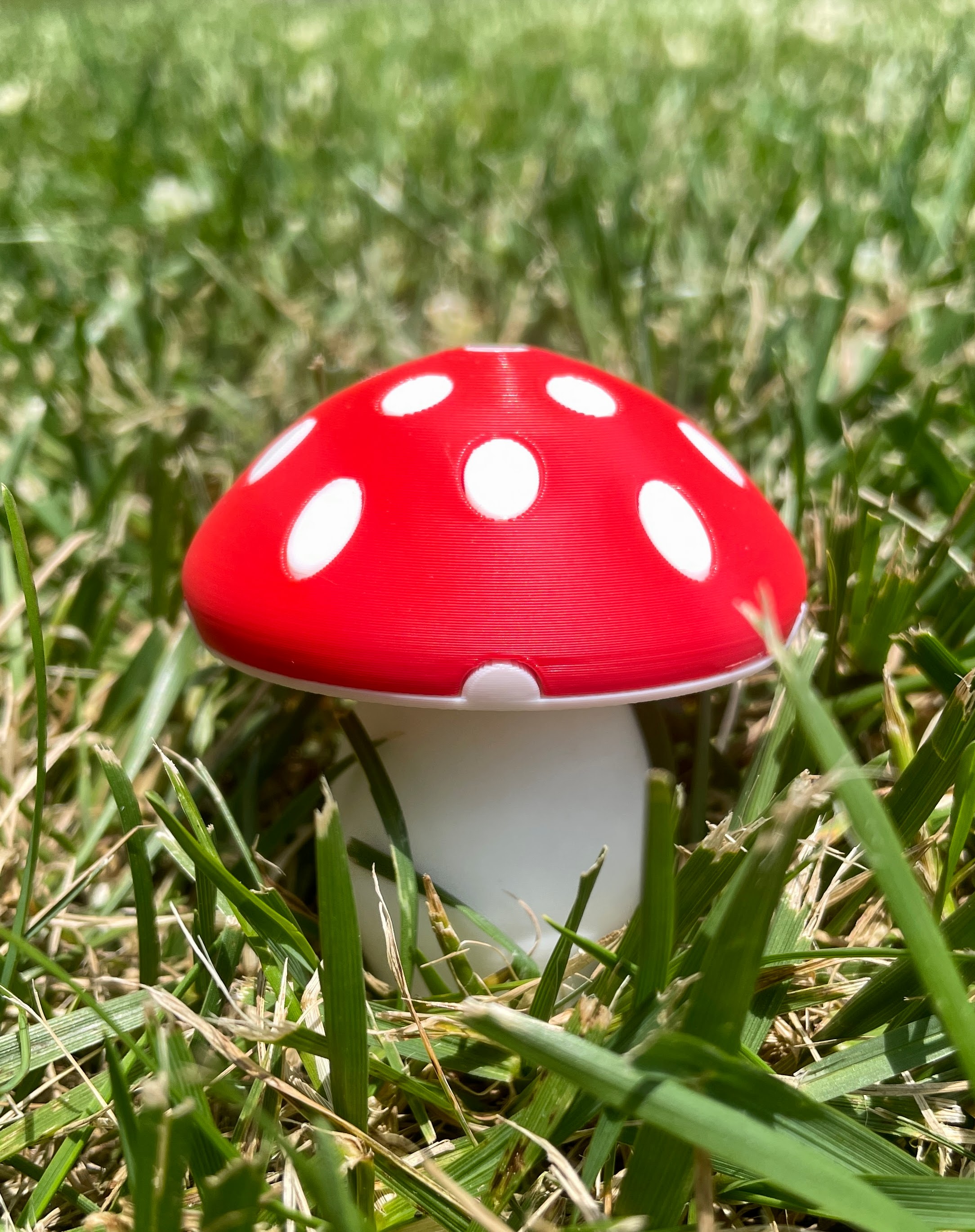 Magic Shroom by cartyski | Printables Store