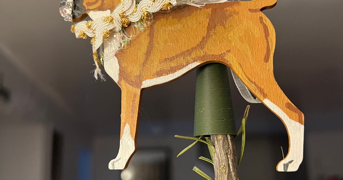 Any-Star Mount by Mre | Download free STL model | Printables.com