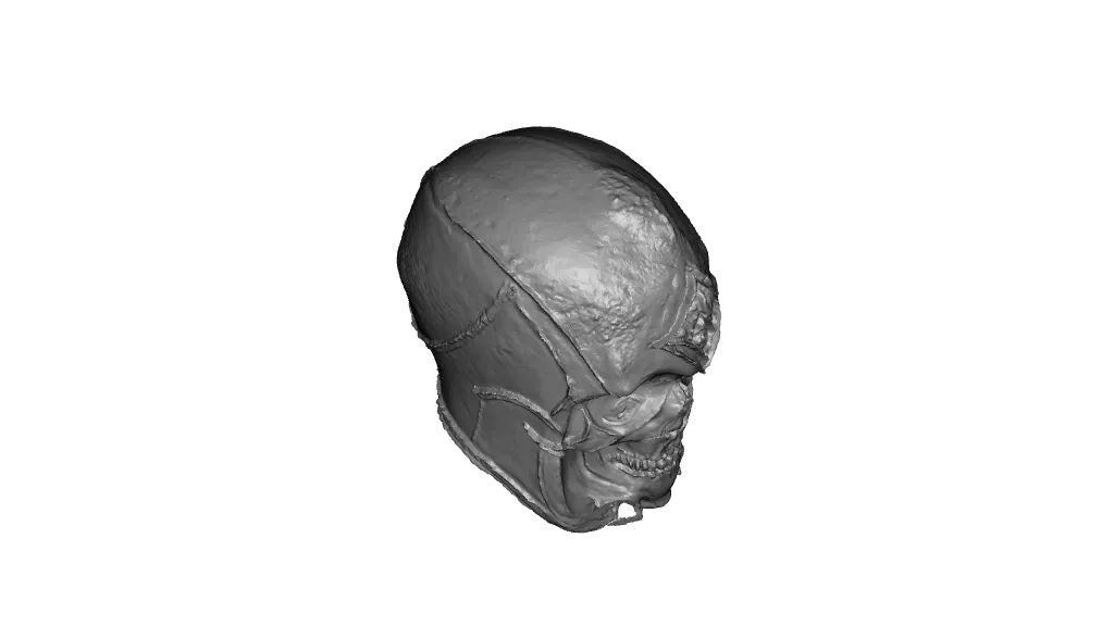 Necromancer with Helmet Bust by Peter Farell | Download free STL model ...