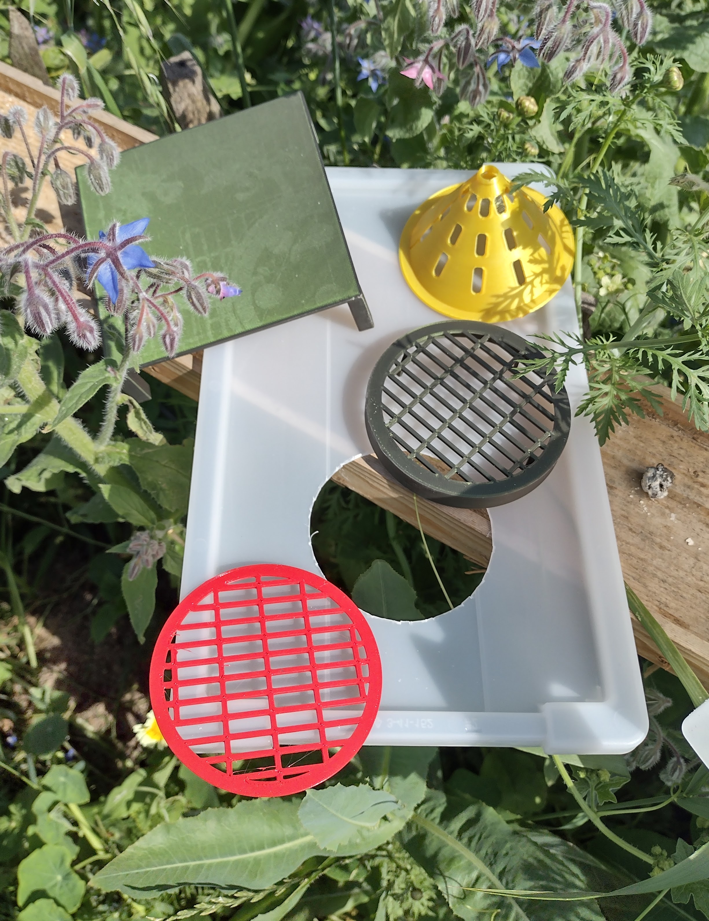 Aziatische hoornaar val. Asian hornet trap. Piège à frelons asiatiques ...