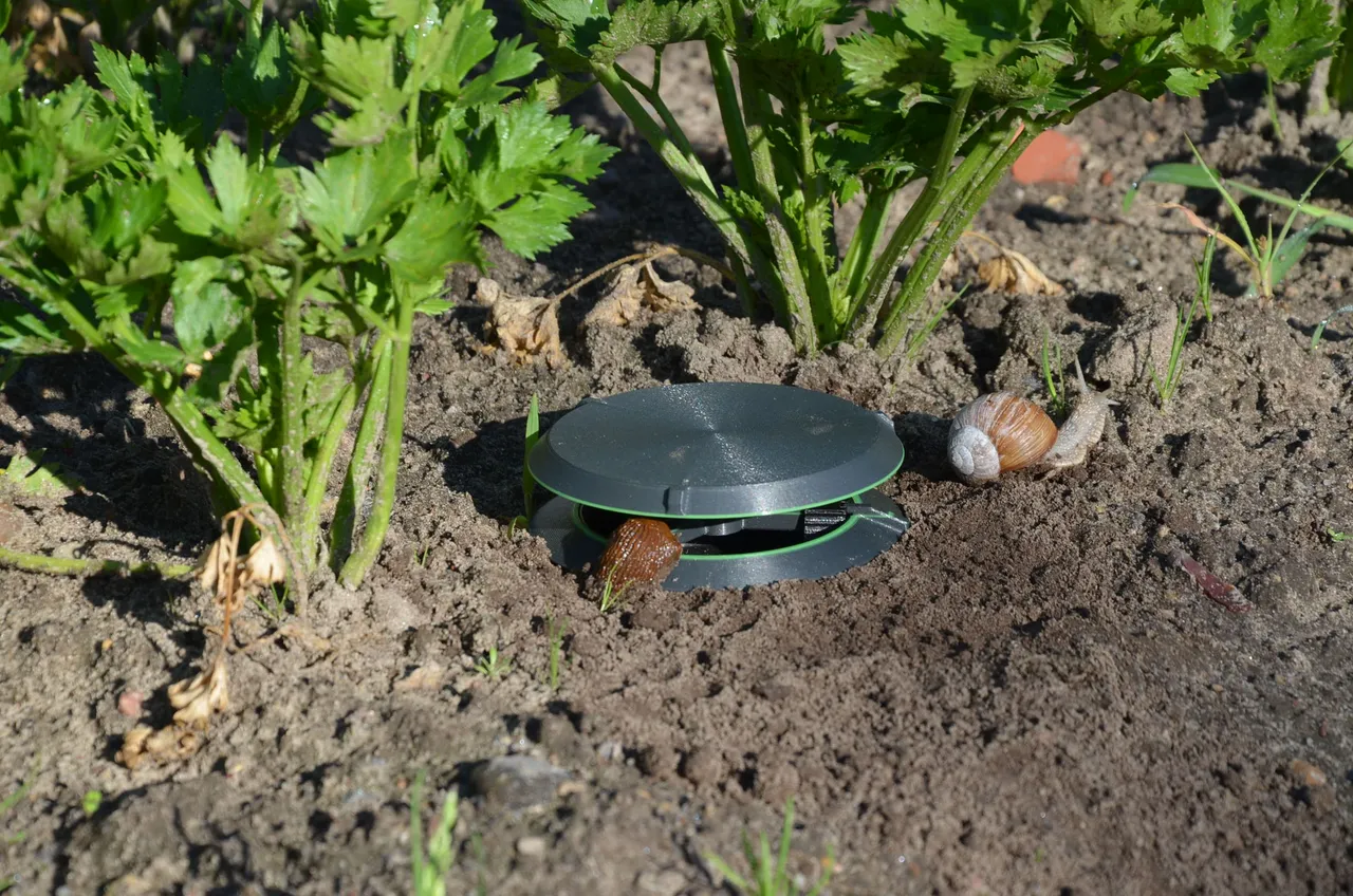 Snail Slug Trap by firstgizmo | Download free STL model | Printables.com