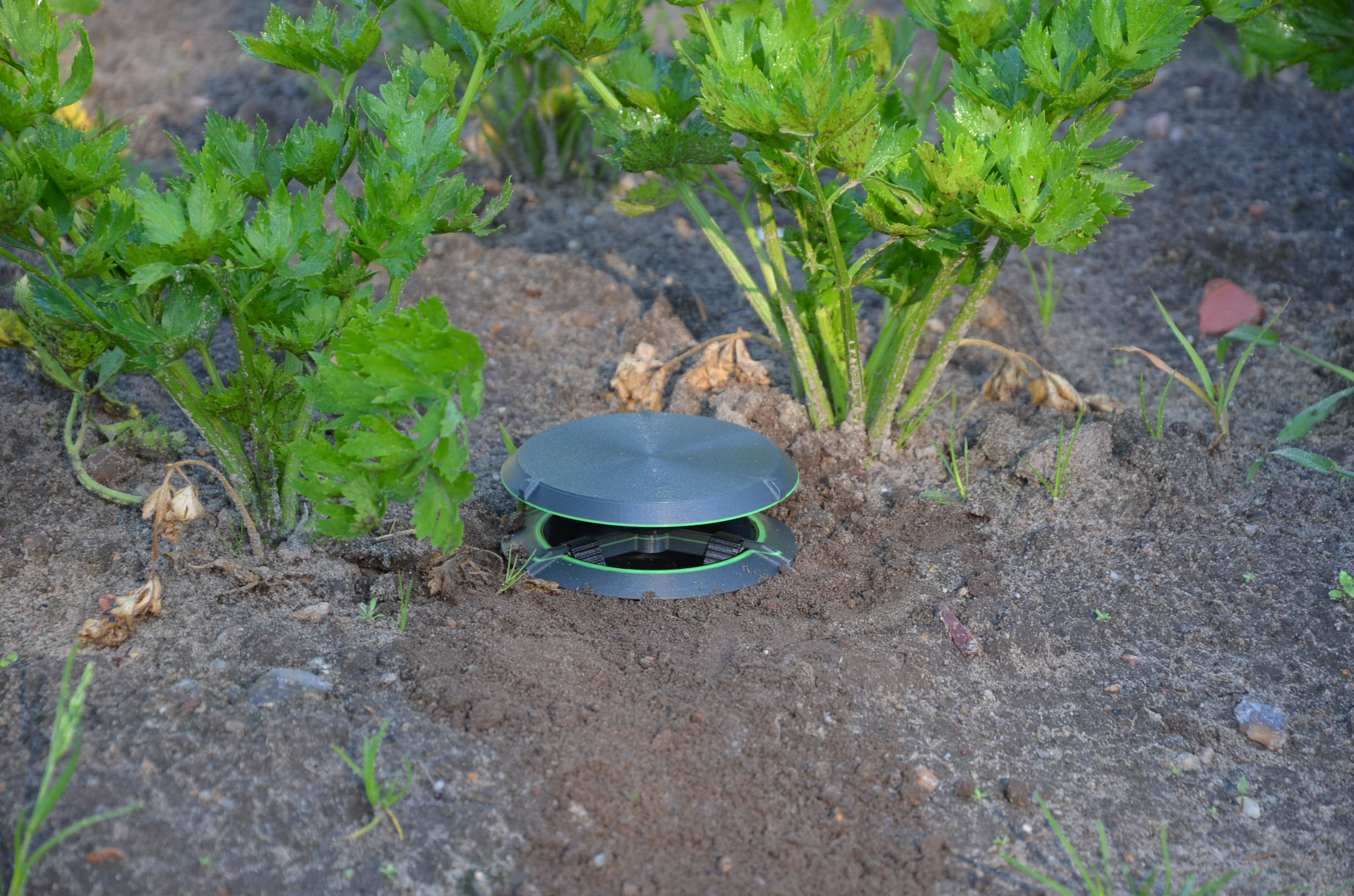 Snail Slug Trap by firstgizmo | Download free STL model | Printables.com