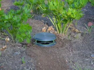 Snail Slug Trap by firstgizmo | Download free STL model | Printables.com