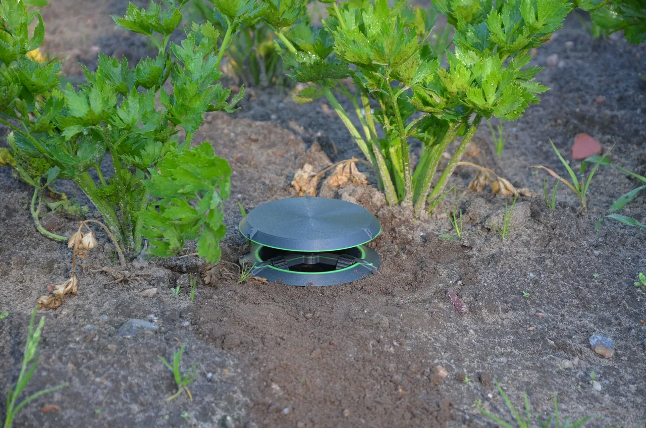 Snail Slug Trap by firstgizmo | Download free STL model | Printables.com