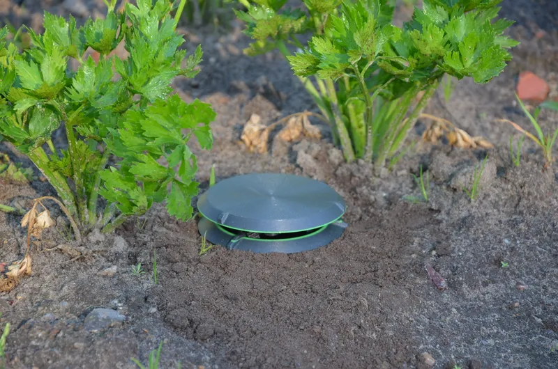 Snail Slug Trap by firstgizmo | Download free STL model | Printables.com