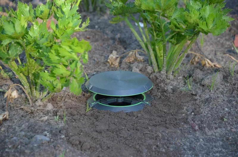 Snail Slug Trap by firstgizmo | Download free STL model | Printables.com