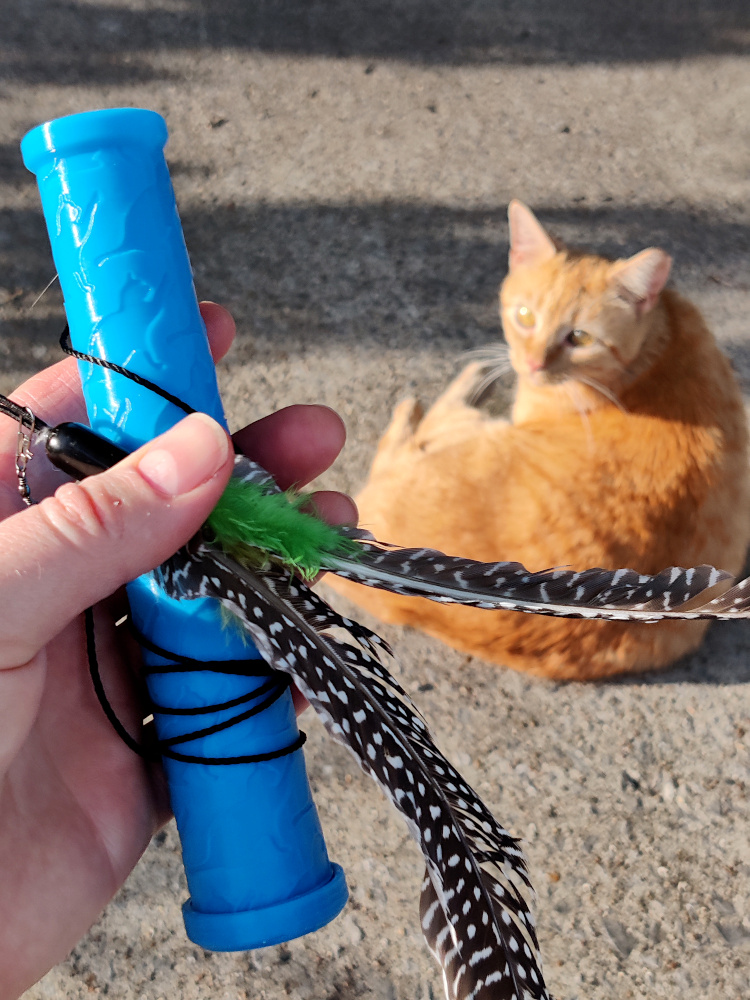 Telescoping Cat Saber - Retractable Cat Wand Toy! por Tony Youngblood ...