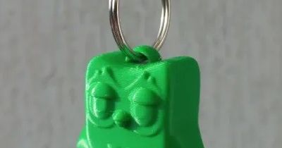 Duolingo bird keychain by Wiertarka | Download free STL model ...