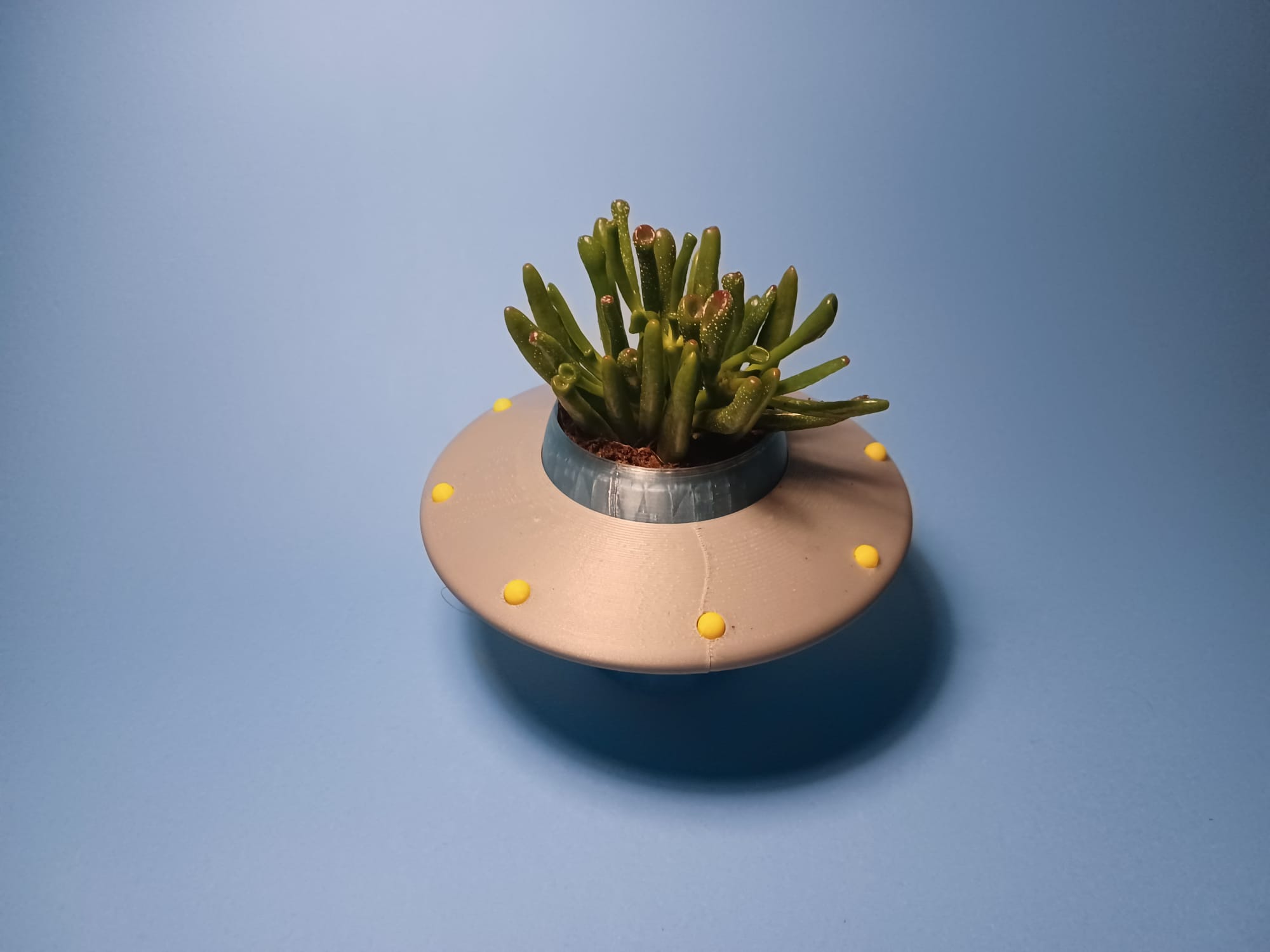 UFO Plant Pot by Xrontos | Download free STL model | Printables.com