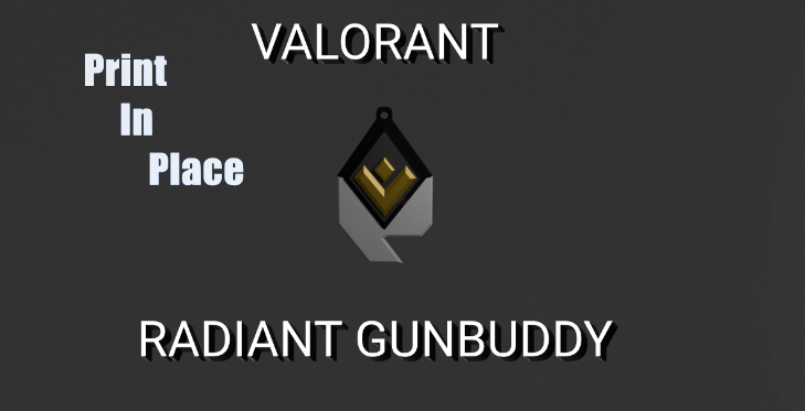 Valorant Radiant Gunbuddy by Denizdarren dursun | Download free STL ...