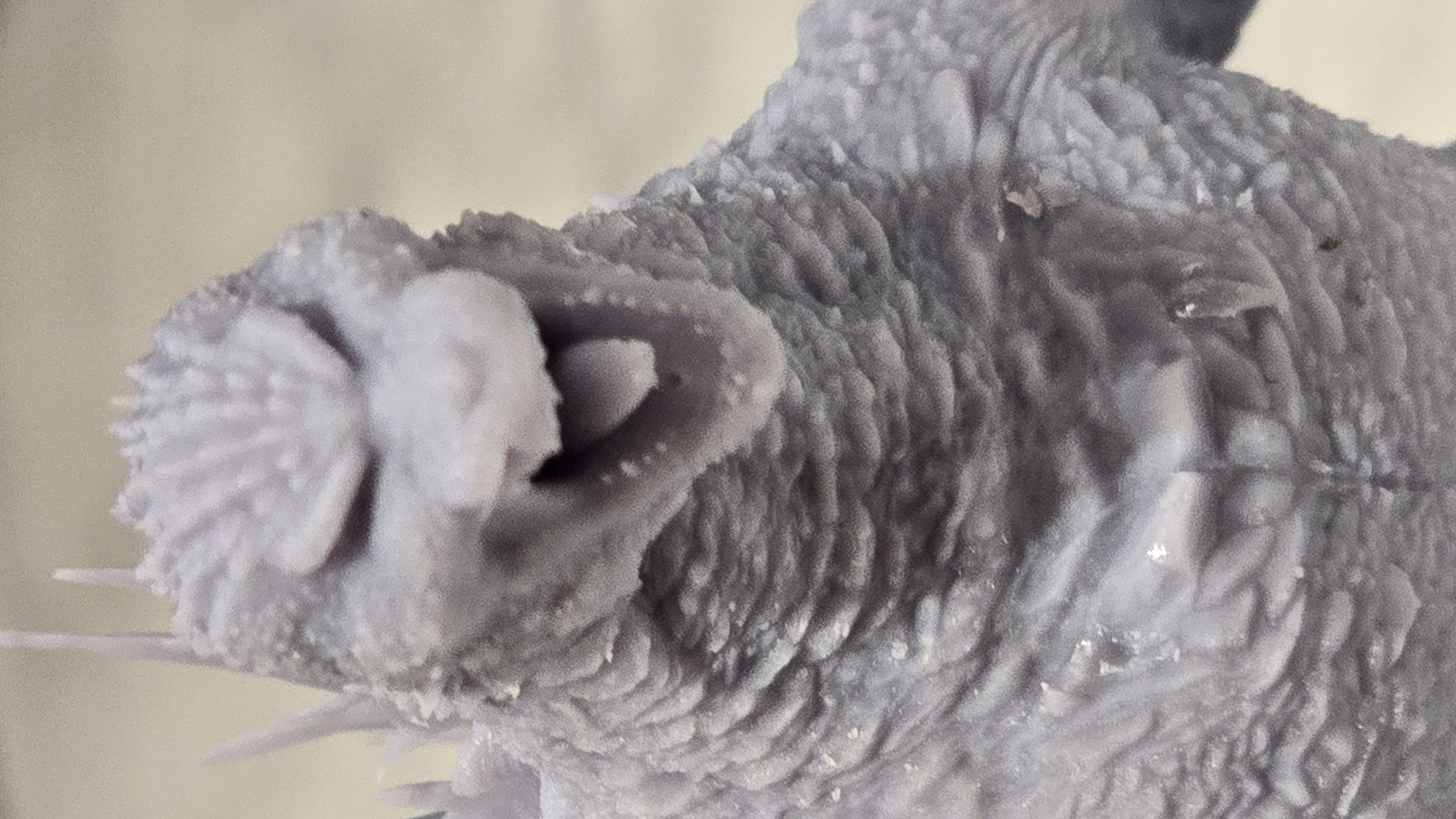 Godzilla Minus One - Posed (Very High Resolution) autorstwa ...