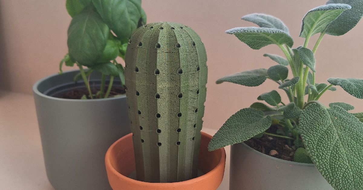 Cactus toothpick holder by Grayson Smith | Download free STL model ...