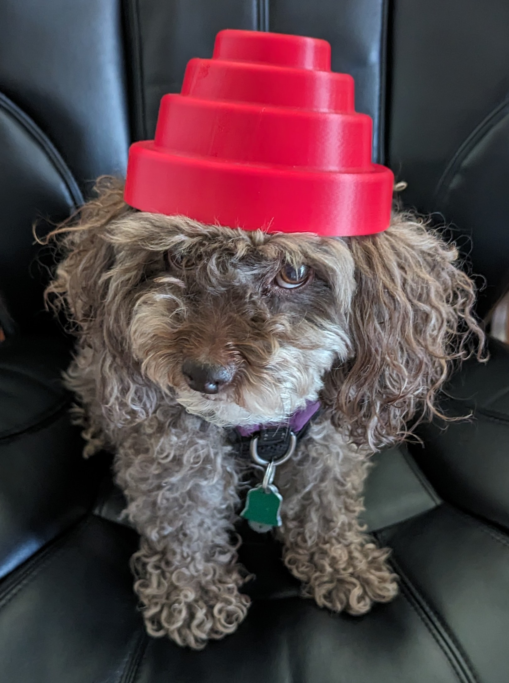 Devo Energy Dome by LIG Computer | Download free STL model | Printables.com