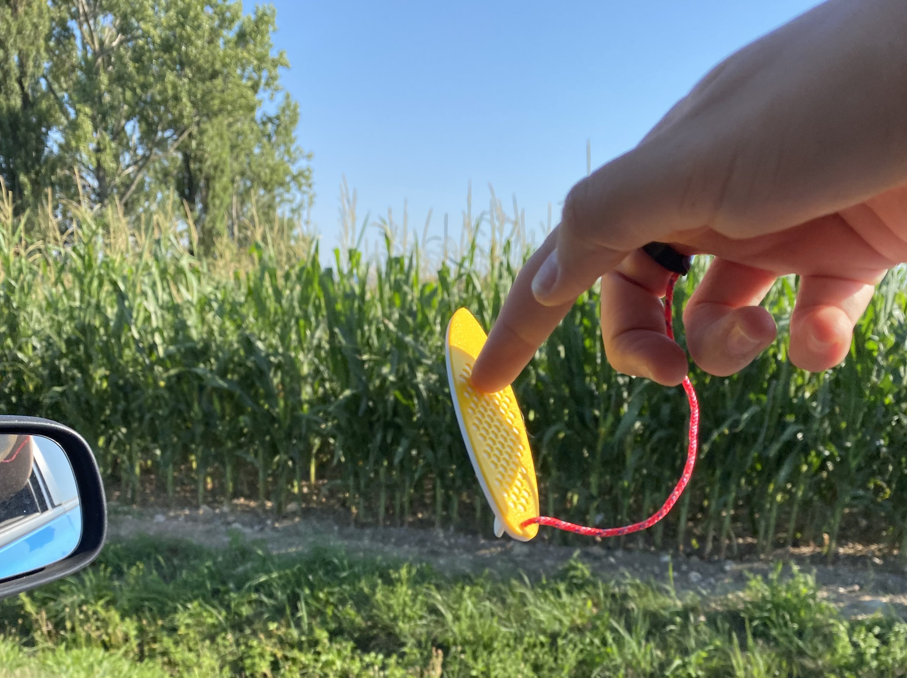 Finger Wind Surf by Jan Štech | Download free STL model | Printables.com