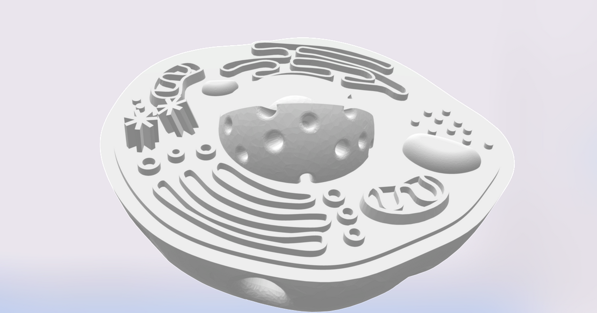 Mini Animal Cell Combined Into One Model by MohanMaker | Download free ...