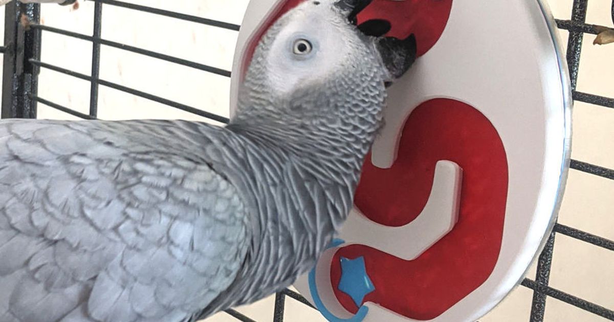 Parrot Puzzle Maze: Pepper's Lament [Expert] by milks | Download free ...