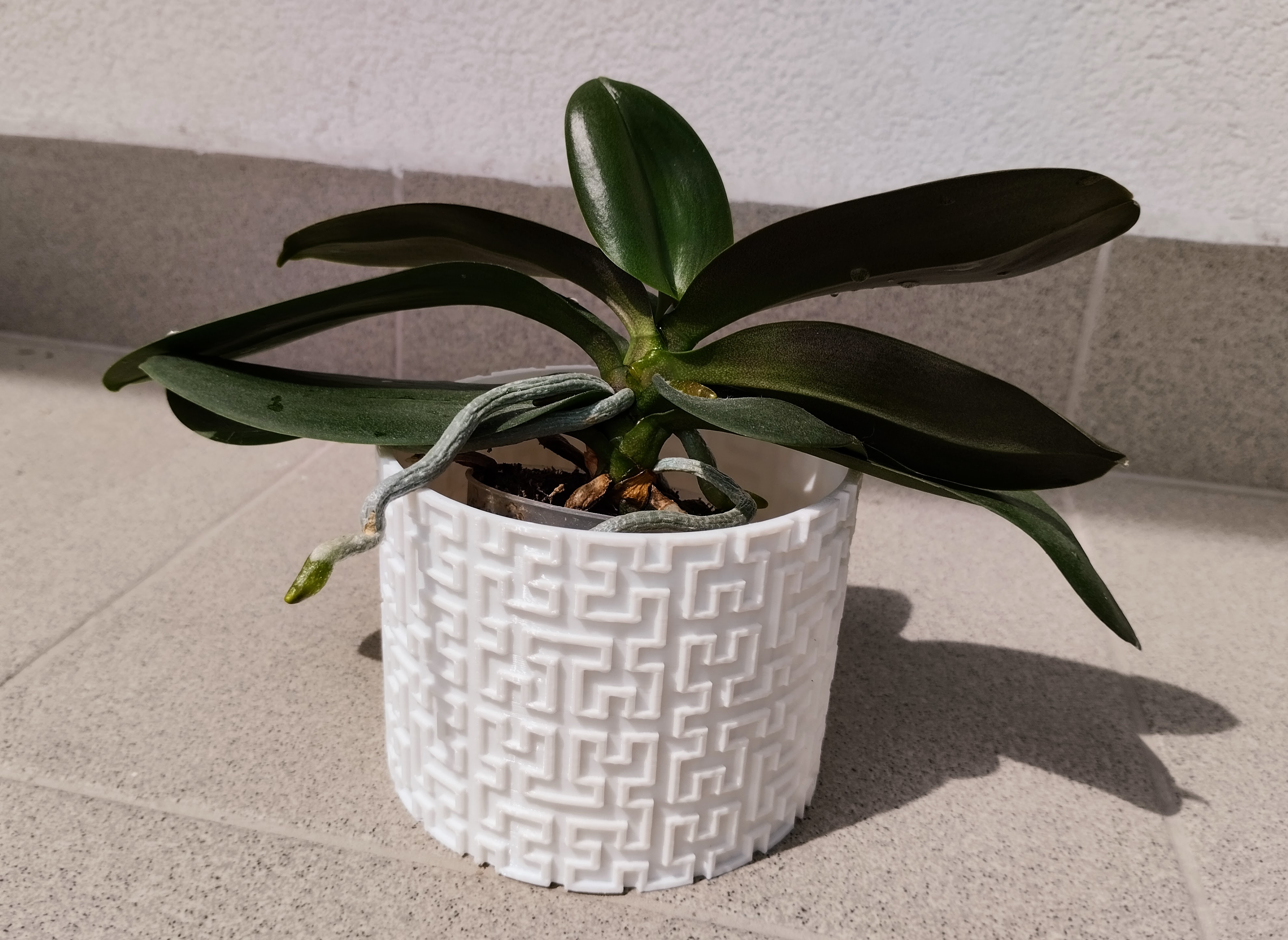 Hilbert curve Plant Pot by pspf | Download free STL model | Printables.com