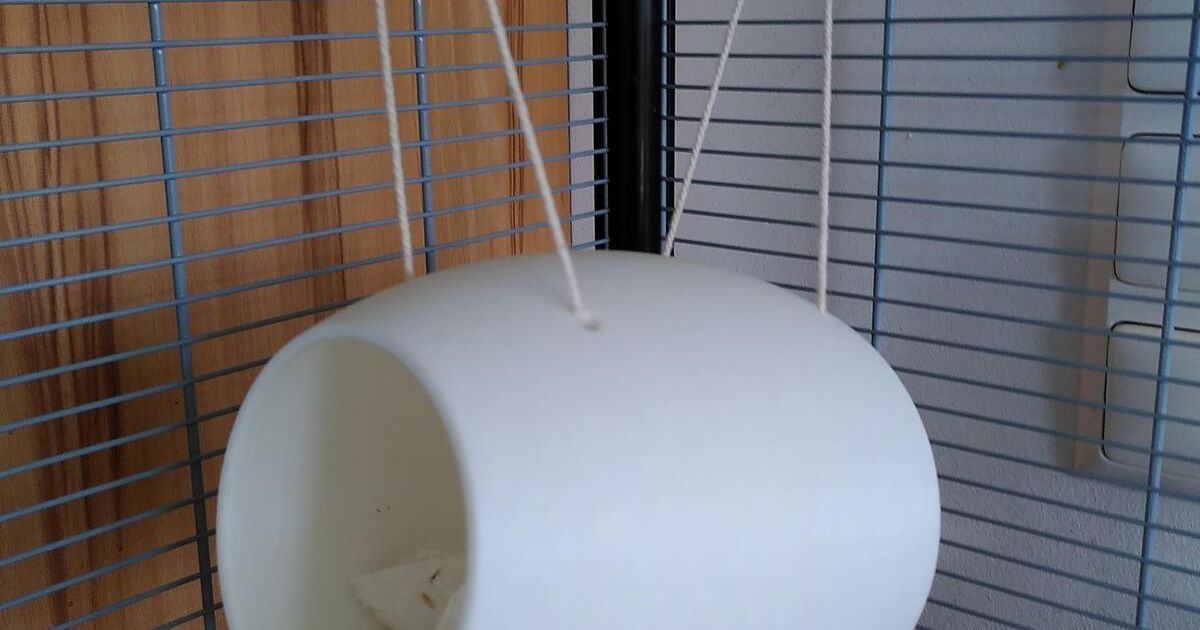 rat house / rat coconut / rodents / Rattenhaus / Ratten Kokosnuss by ...