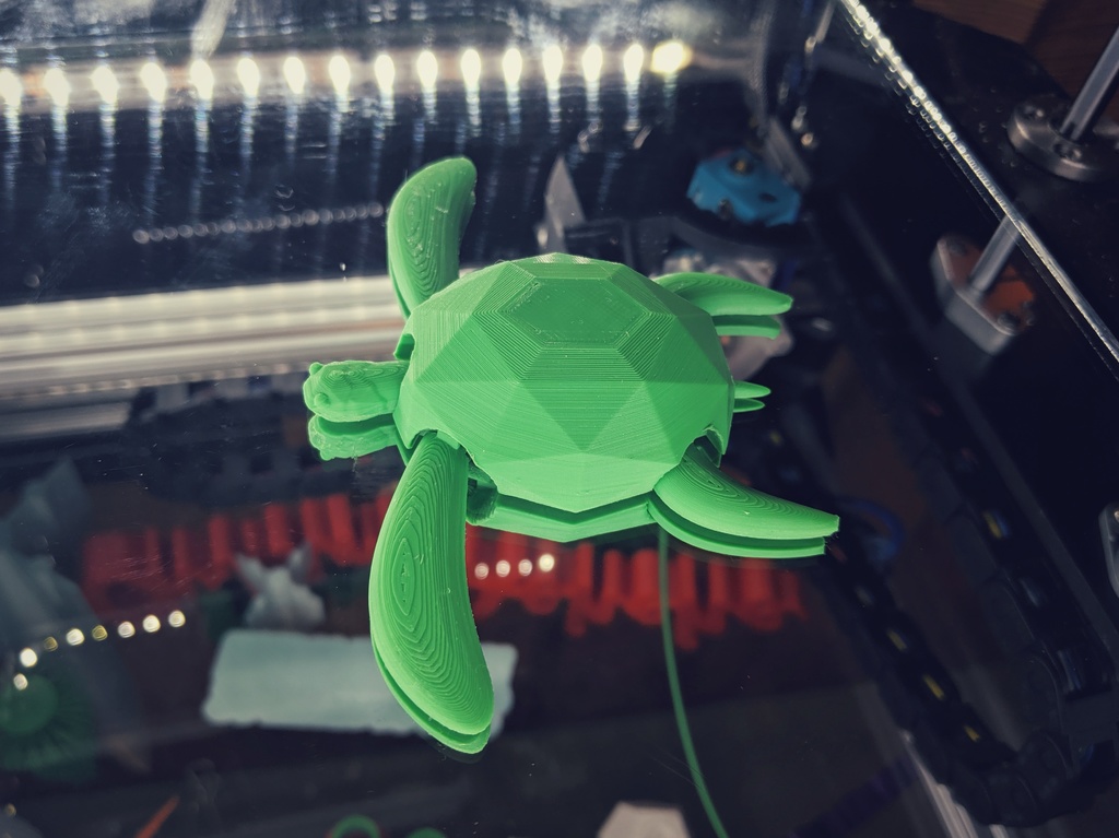 Flexi Sea Turtle by JamesThePrinter | Download free STL model ...