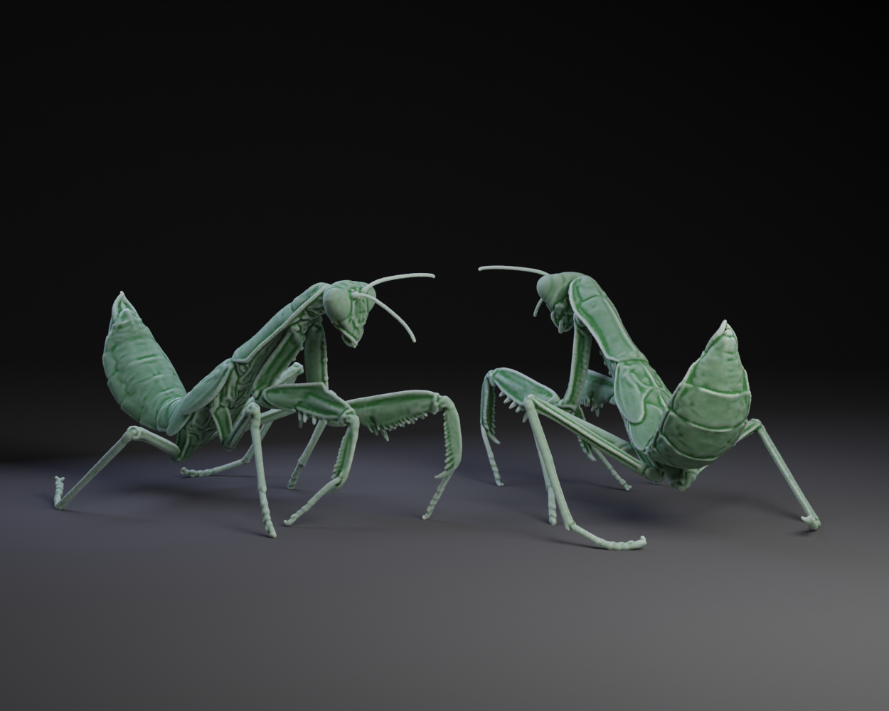 Praying Mantis by Peter Farell | Download free STL model | Printables.com