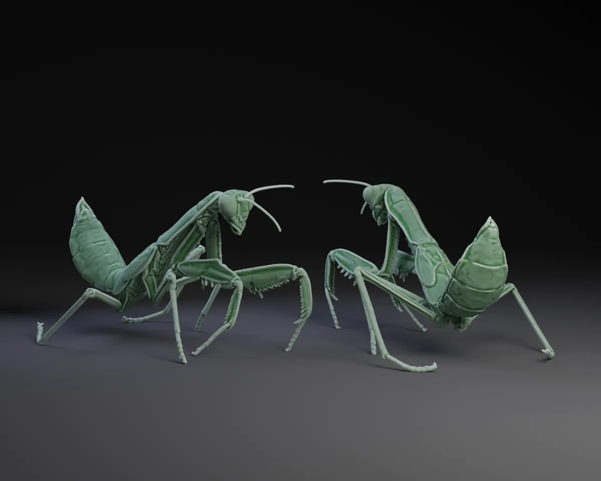 Praying Mantis by Peter Farell | Download free STL model | Printables.com